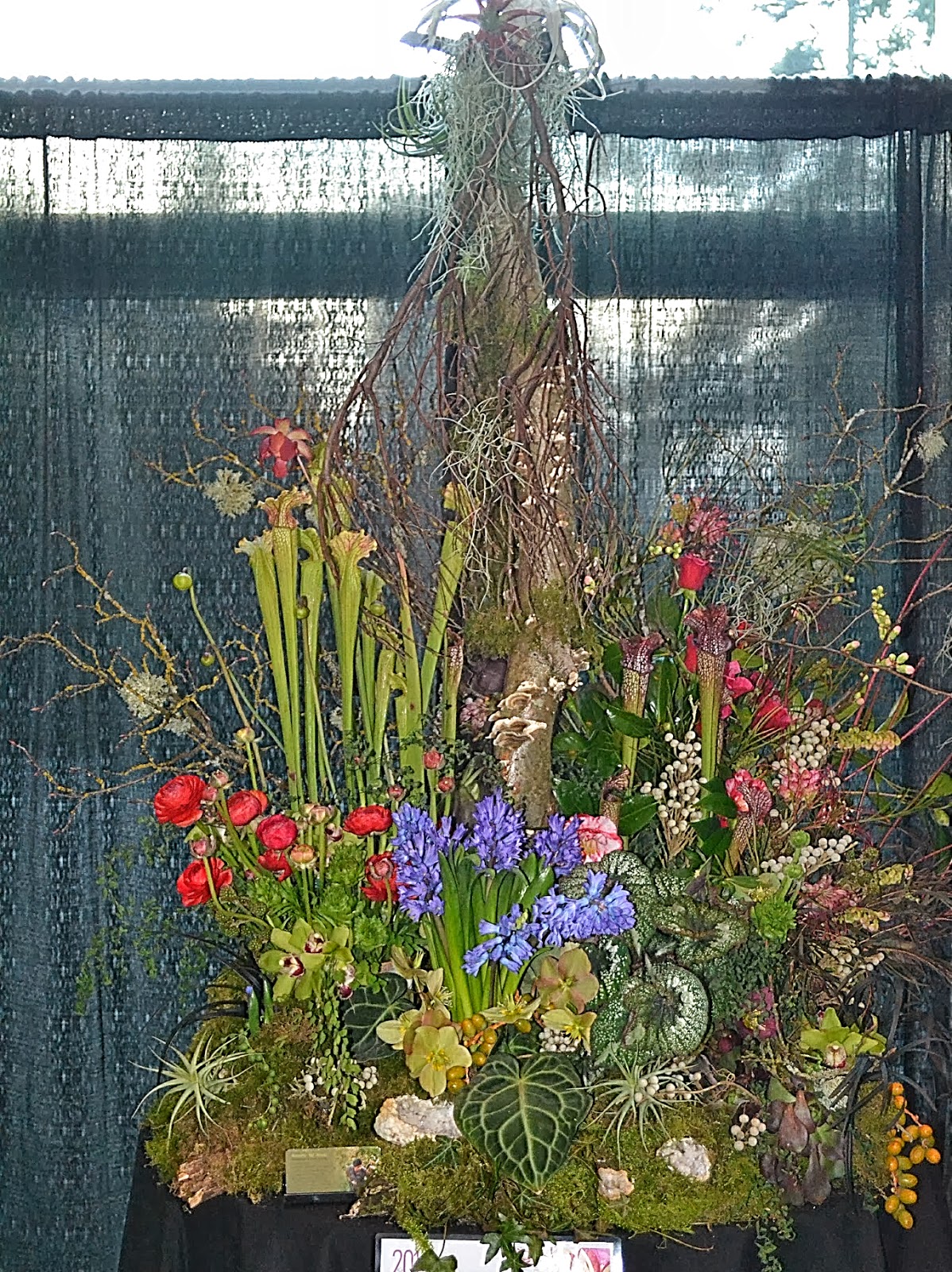 The Outlaw Gardener: Northwest Flower and Garden Show Floral Competition