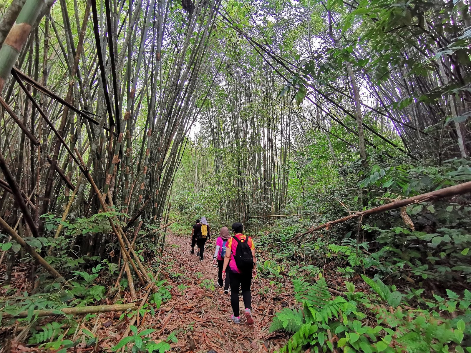 Gunung Hitam, Hulu Langat