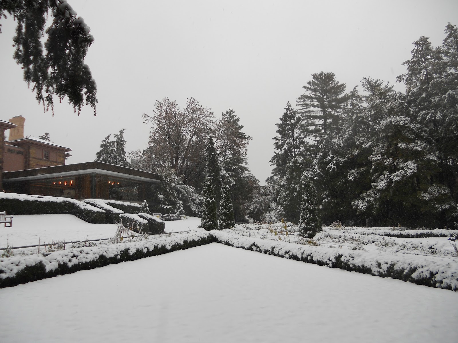 Nature Photography: First Snow at Princeton