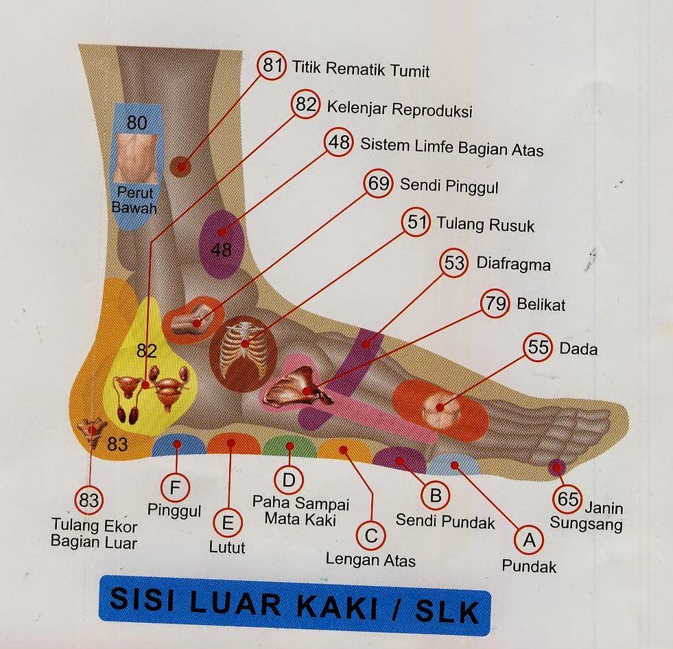 PENGOBATAN PATAH TULANG: GAMBAR TITIK-TITIK REFLEXY BAGIAN LUAR