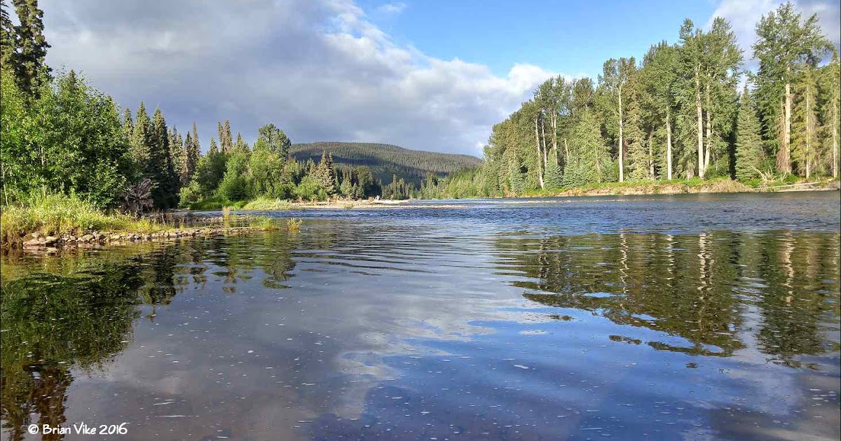 Northern Interior British Columbia: The Morice River And Lamprey Creek ...