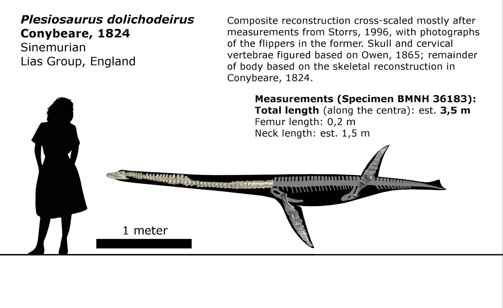 The Blog That Time Forgot: Dinosauria Caspakensis: Plesiosaurus olsoni