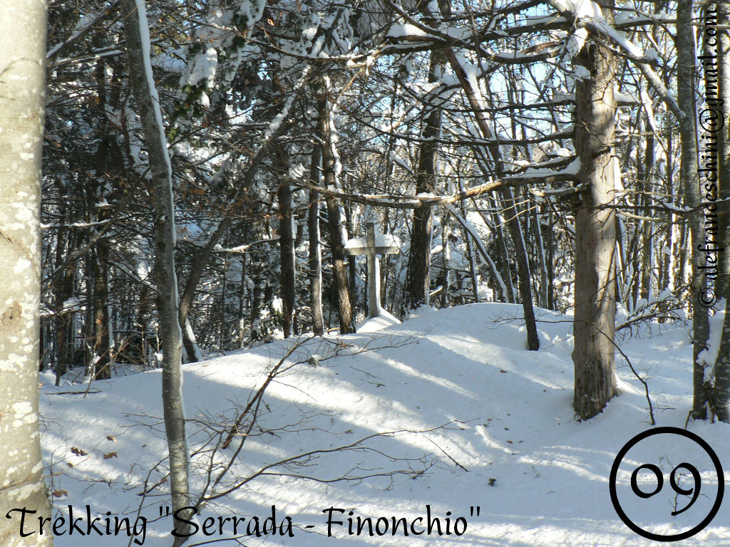 Trekking in Trentino: Serrada > Rifugio "Fratelli Filzi" (Finonchio)