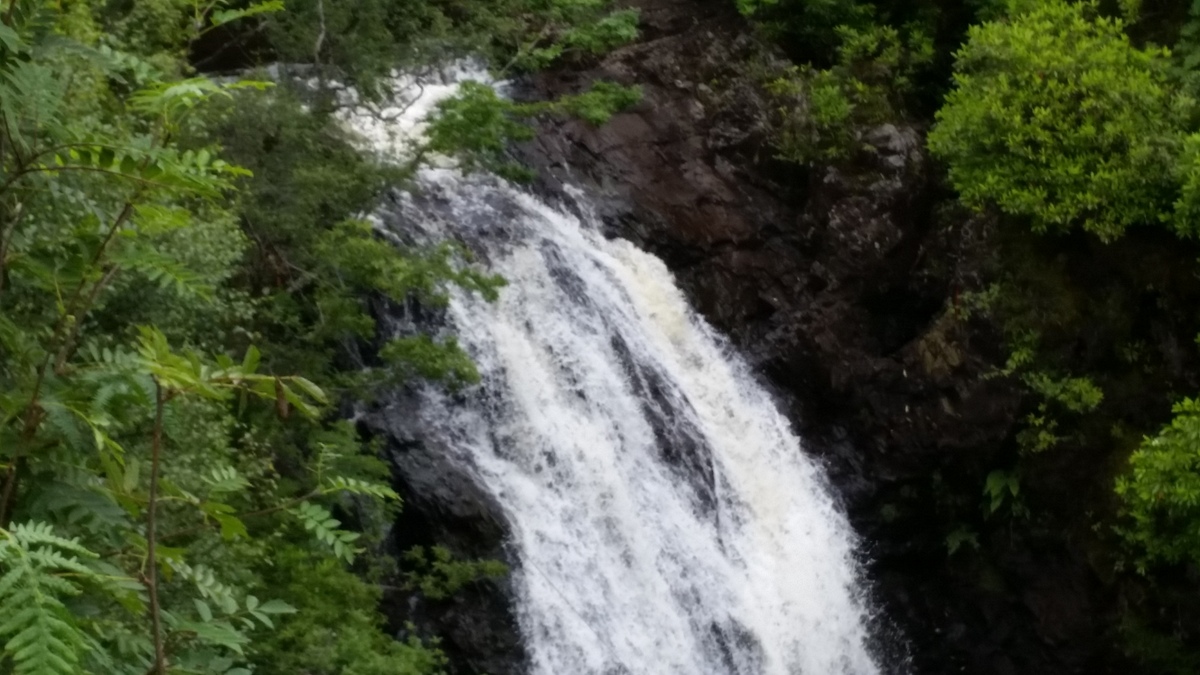 טיול משפחתי בסקוטלנד - מסלול והמלצות לחופשה עם ילדים בסקוטלנד