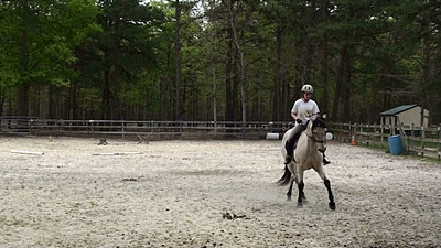 Memoirs of a Horse Girl: Riding Reflection: Hot Rod Harley