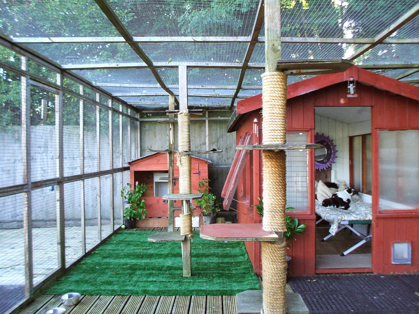 Catwel Cardiff Registered Cat Charity no 1086255: Sponsor a Catwel cat ...