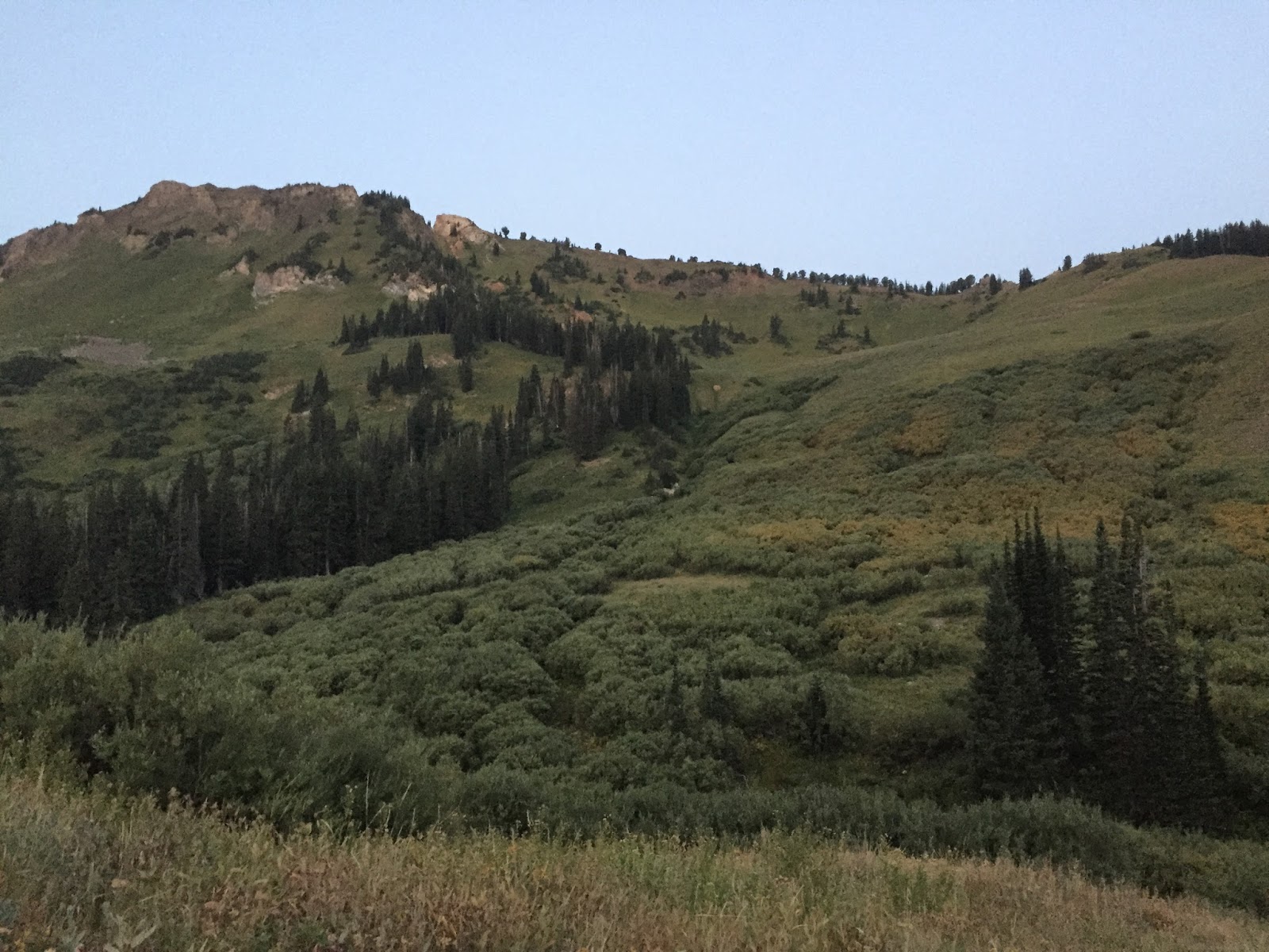 Jessindy's Hiking Adventures: Albion Basin Trail