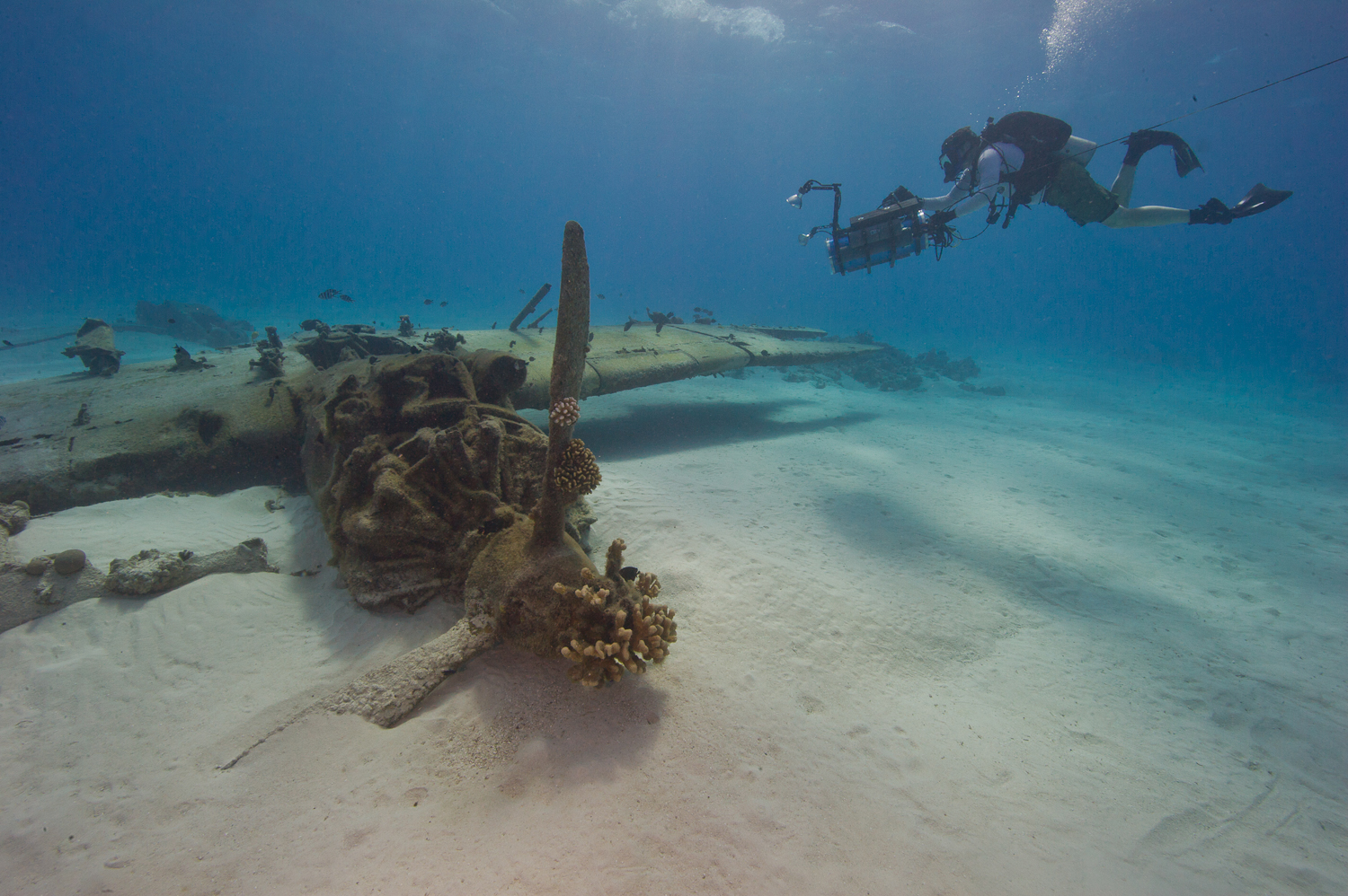 brettseymourphotograhy: Aichi E13A “Jake”