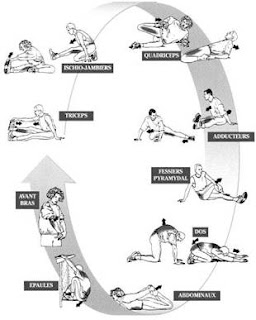 lecartablebleu: L'échauffement en EPS
