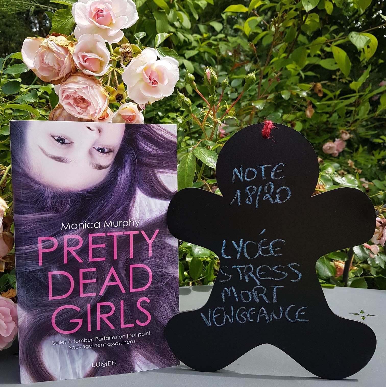 Les lectures de Mylène: Pretty Dead Girls de Monica Murphy