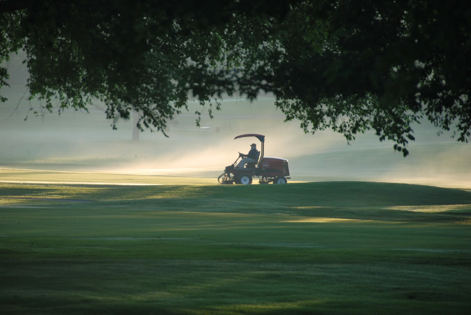 Medina Golf and Country Club: On The Course June 24th