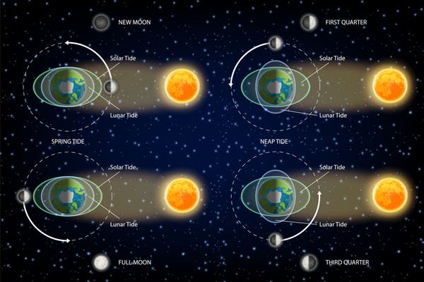 Mengapa Gravitasi Bulan Tidak Mempengaruhi Air di Gelas? - Info Astronomy