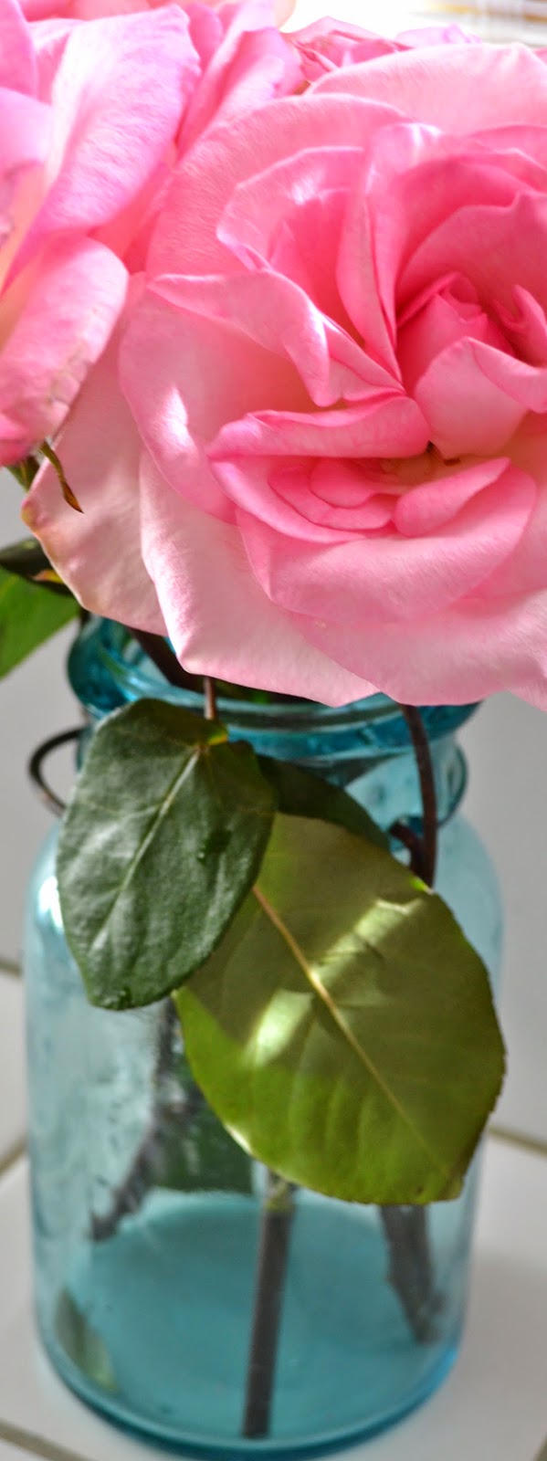 My Painted Garden: Pink Rose Inspirations