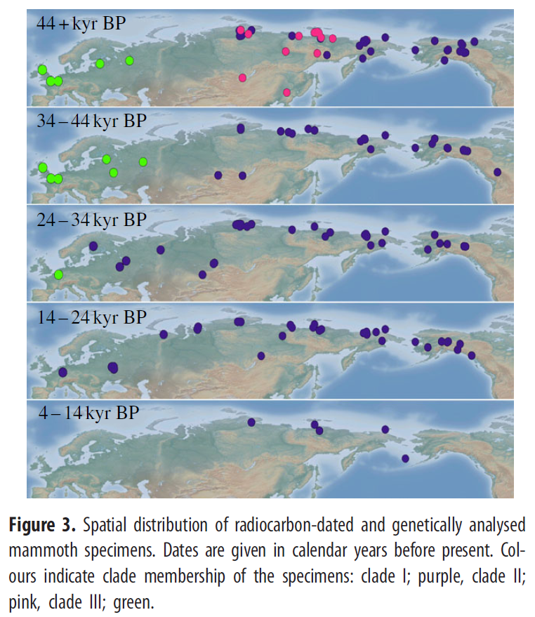 Eurogenes Blog: Following the mammoth herds?