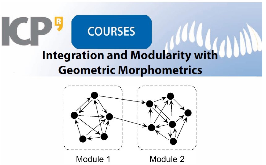 Morfometría Geométrica: enero 2012