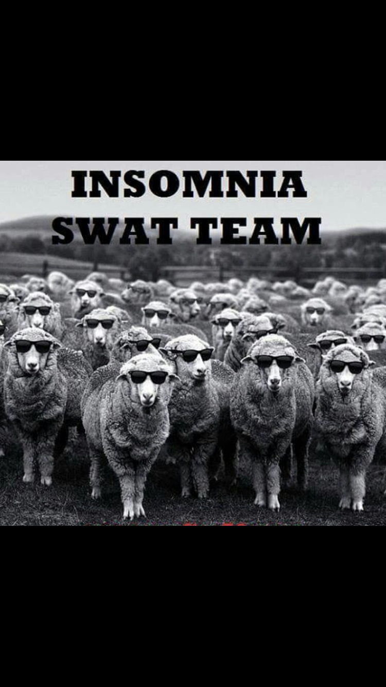 En jordemors liv och lustar: Insomnia swat team