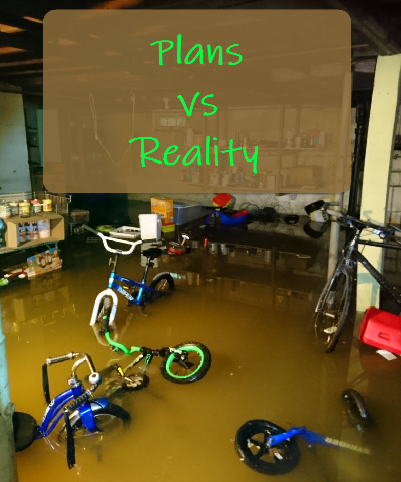 Bookish Family: Homeschooling Week 1: Plans vs Reality