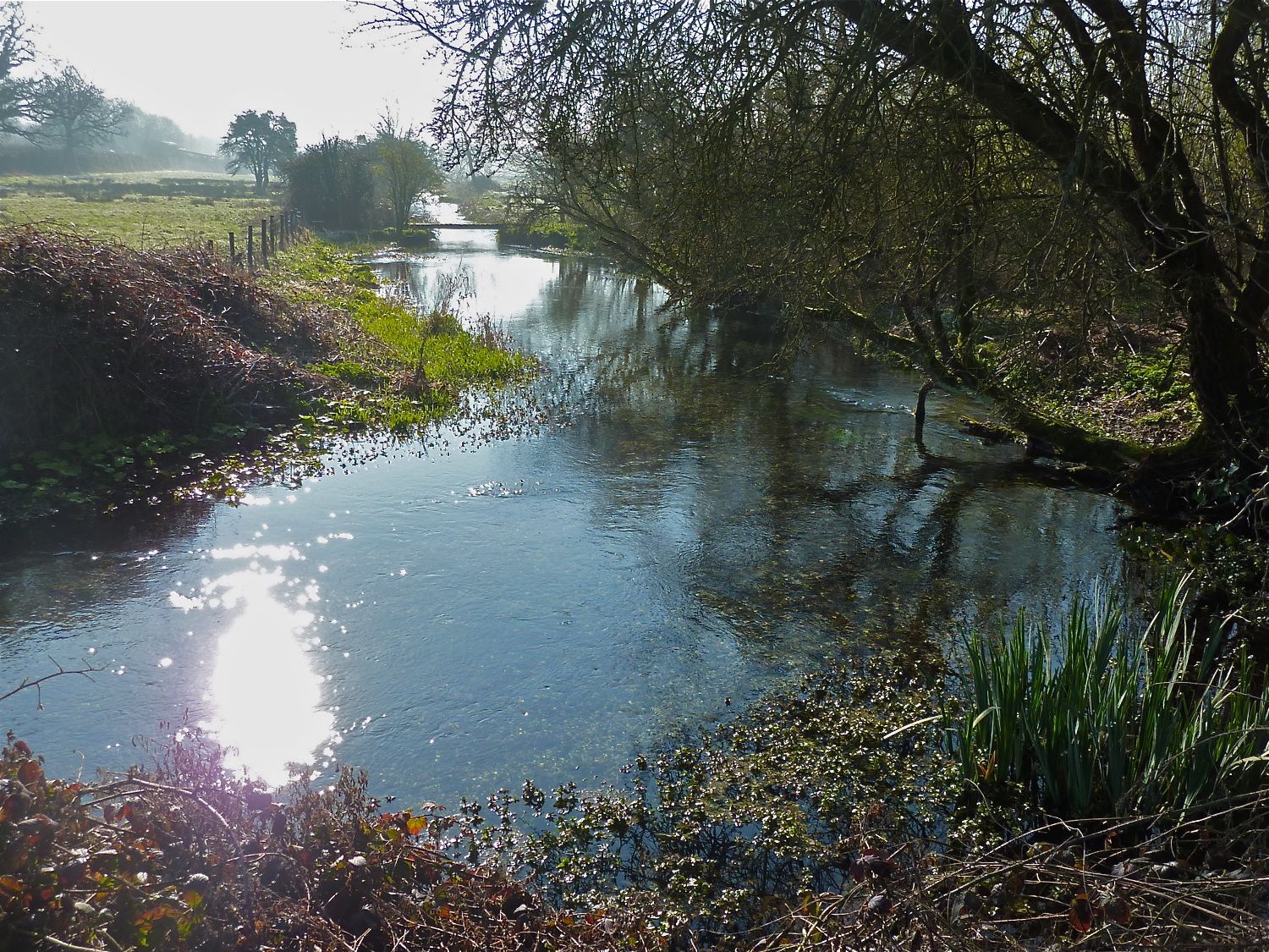 HUGH MILES - WILDLIFE ADVENTURES: FILM SHOW CHALLENGE