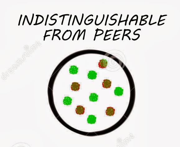 SIDAutism: Inclusion - Indistinguishable from peers?
