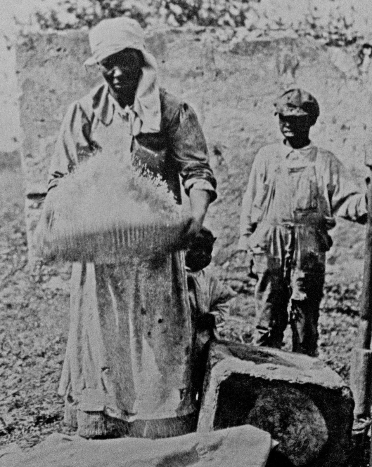 Capture America Journal: Brunswick GA - Hofwyl Plantation