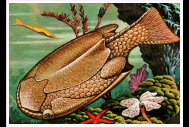 Miniaturas de Oxkarth: Hace Millones de Años - Álbum de cromos - Parte 1