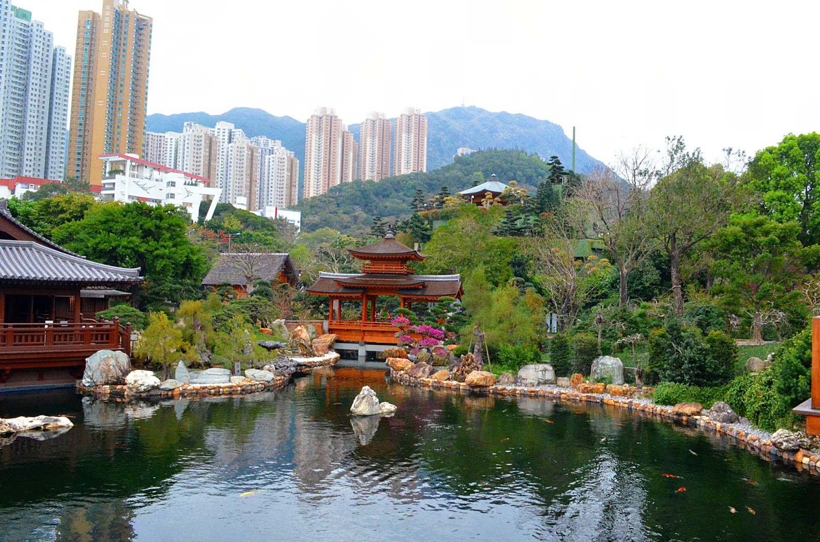 Destination: Hong Kong (Kowloon)