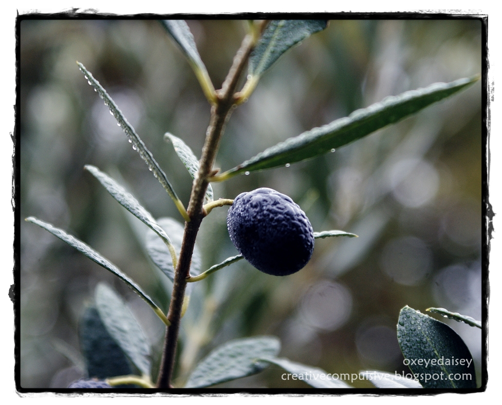 Creative Compulsive: November 2012