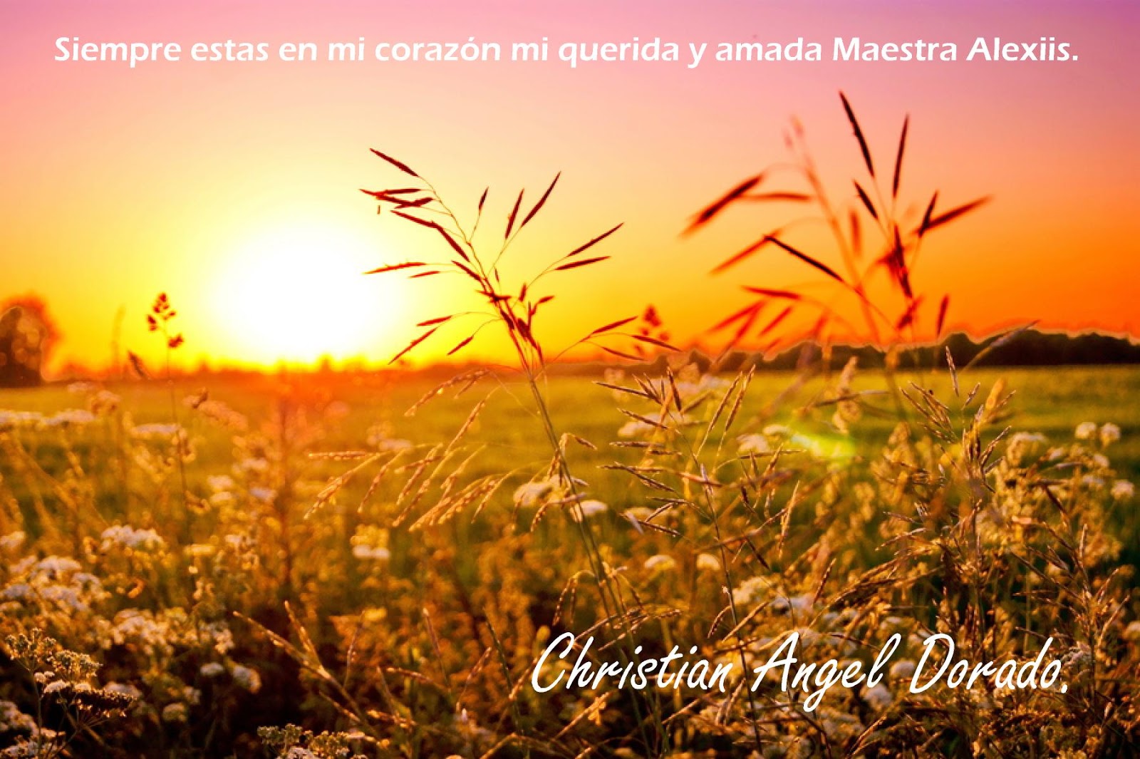 ANGEL DORADO ASCENSION JUNTOS A LA MADRE TIERRA GAIA: EL GRAN SOL ...