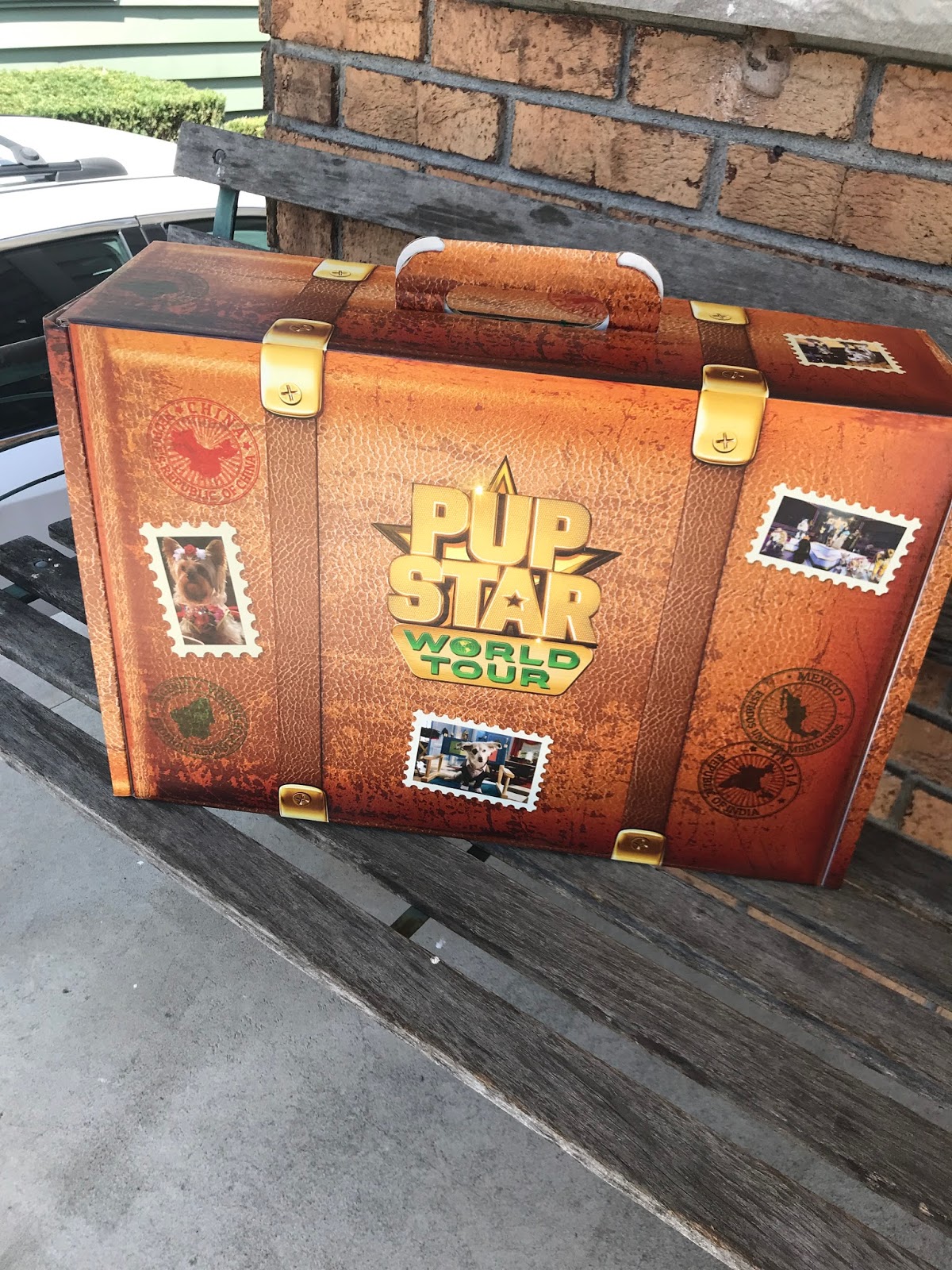 Pup Star World Tour Debuts May 5th on Netflix and Digital HD