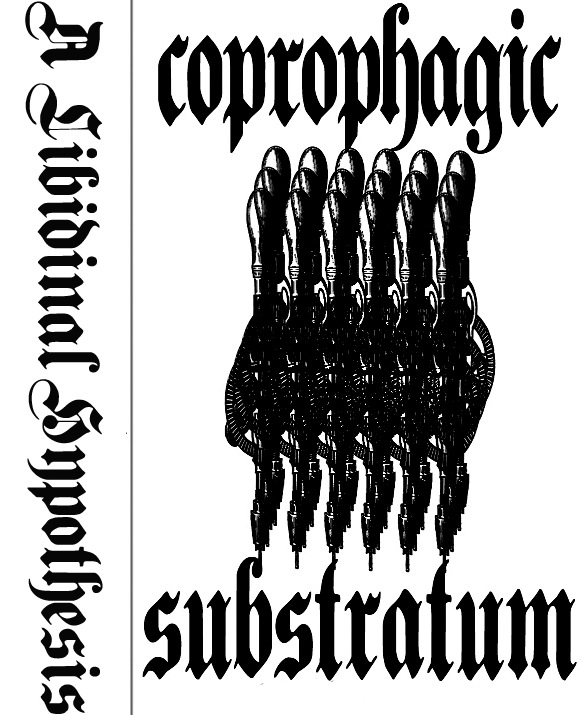 subsubtropics records