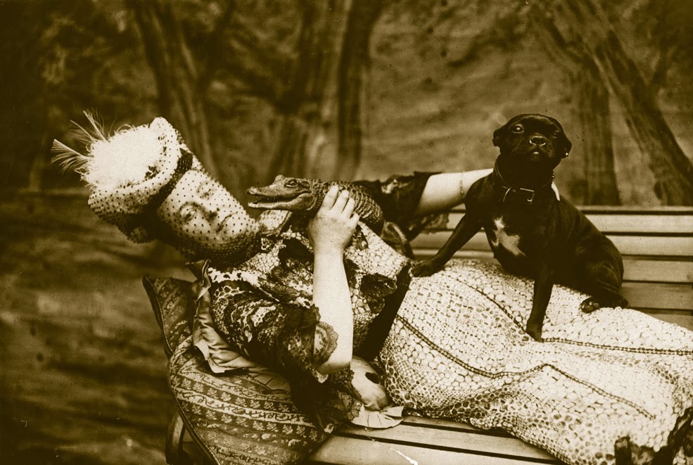 12 Interesting Vintage Photos of Man's Best Friend ~ Vintage Everyday