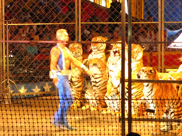 Photos of the Day: The Circus & Fireworks