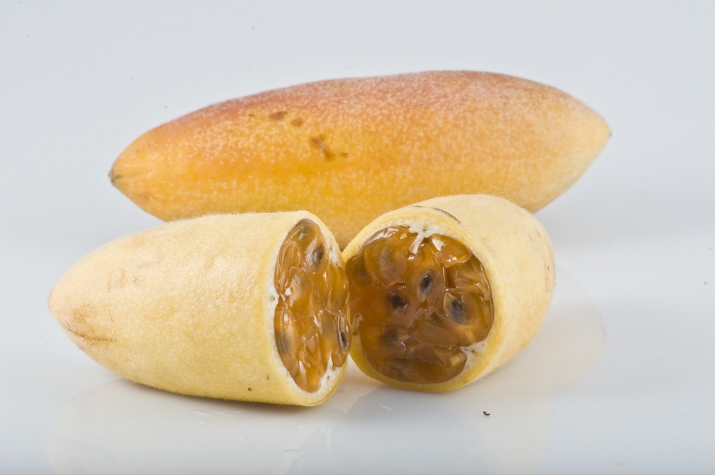 The Tower of Babel: Exotic Fruits (Engl) (IT) (Esp)