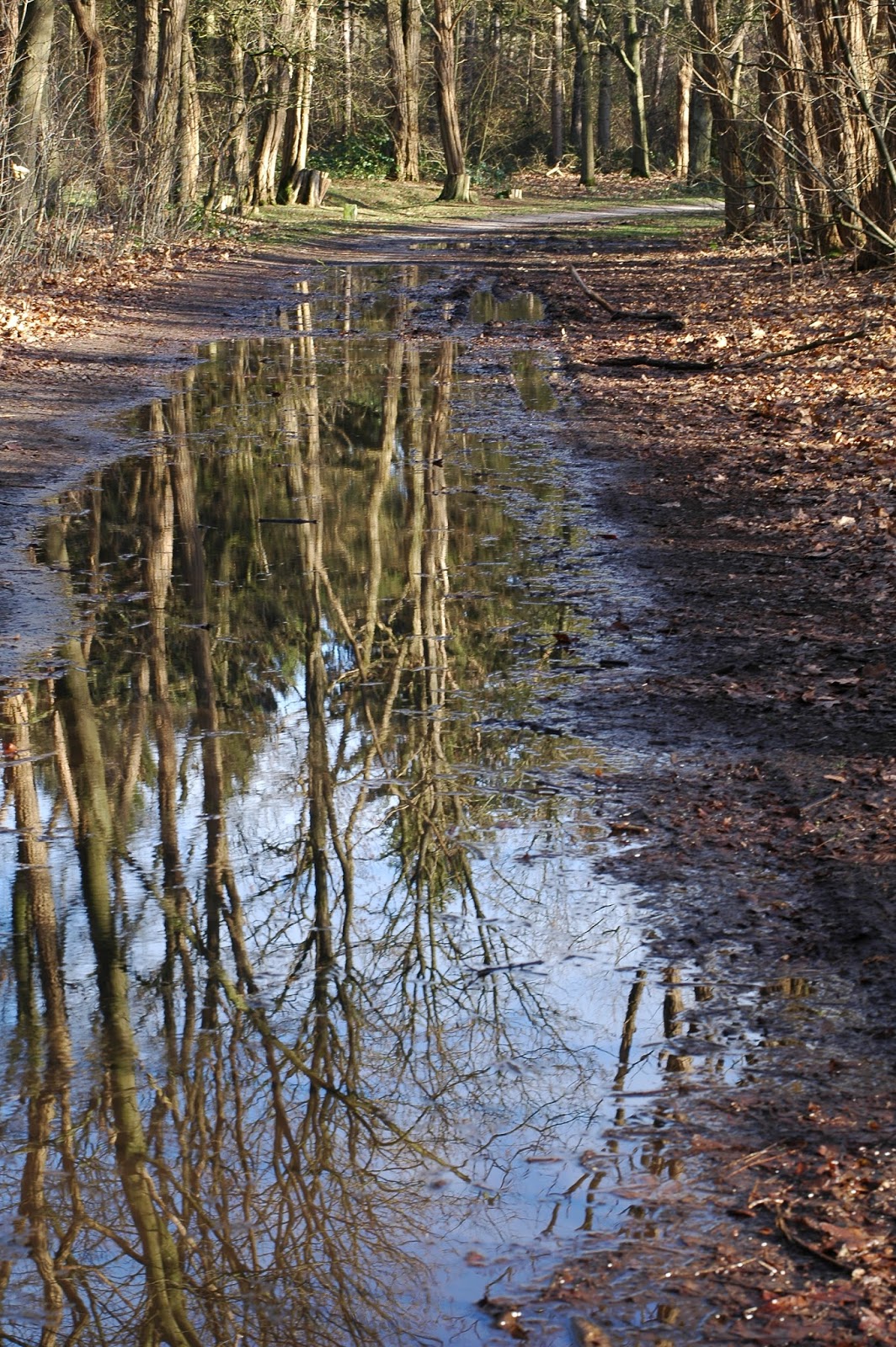 Zeeuws-Vlamingen aan de wandel: Clinge - Bos van Clinge