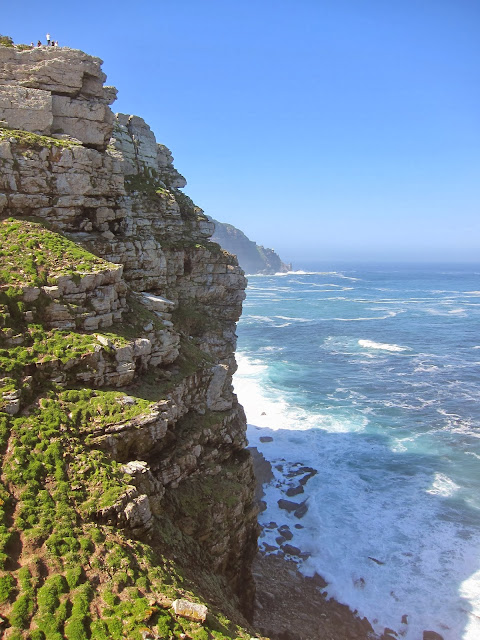 Día 21 – Cape Point (Península del Cabo)