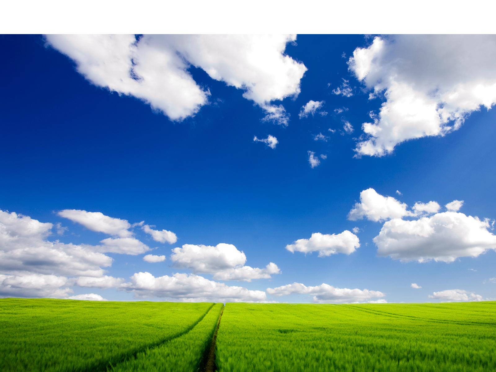 Natural wallpaper background free downloads