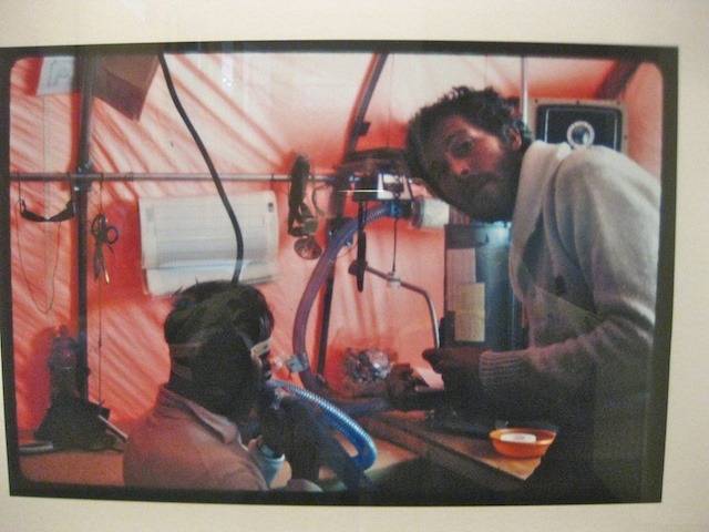 What Do I Know?: Denali Exhibits At The Museum