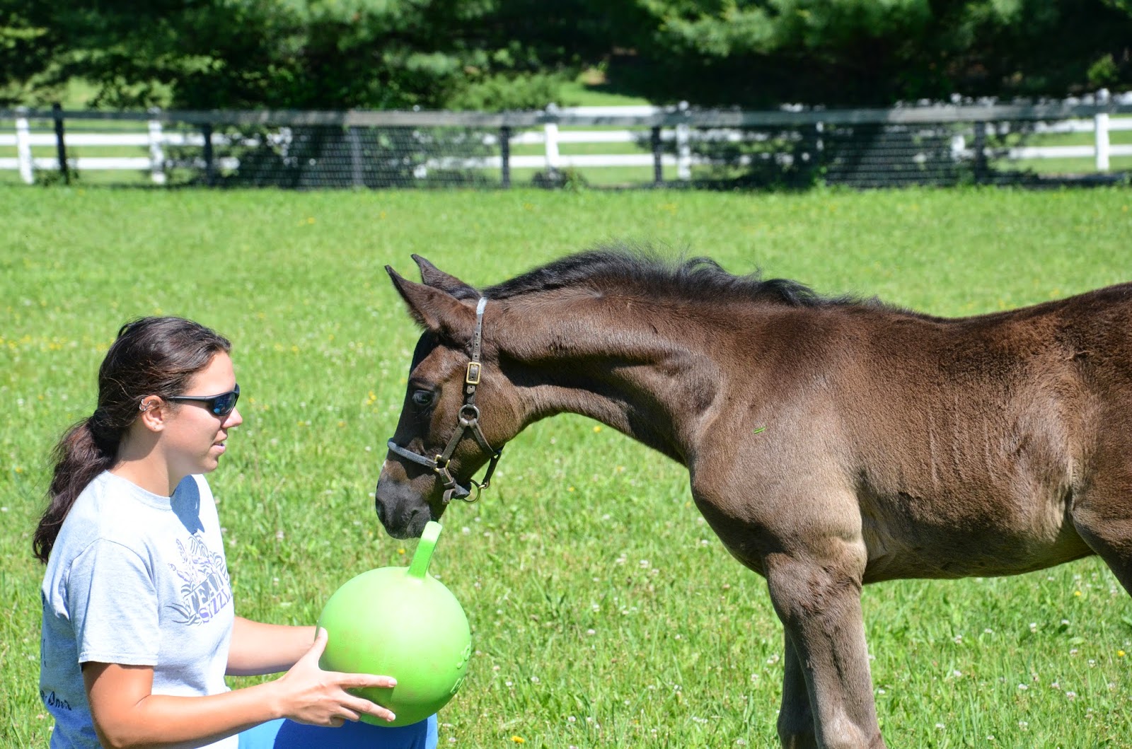 Firemist Farm News: Rhylen Turns 6 Weeks Old