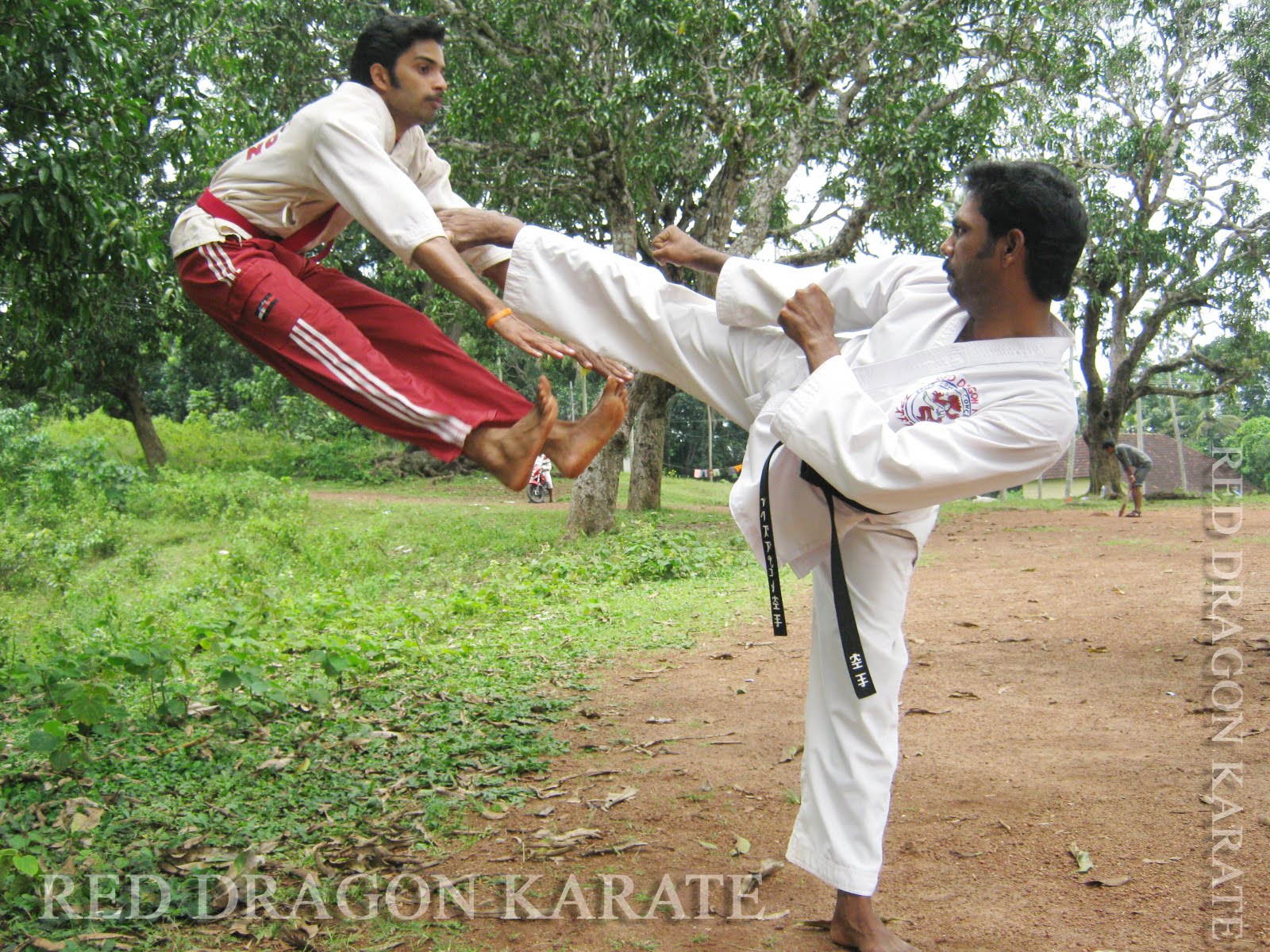Red Dragon Karate International