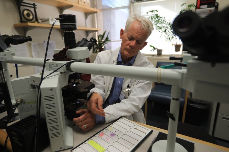 neuropathology blog: Neuropathologist Hannes Vogel featured in New York ...