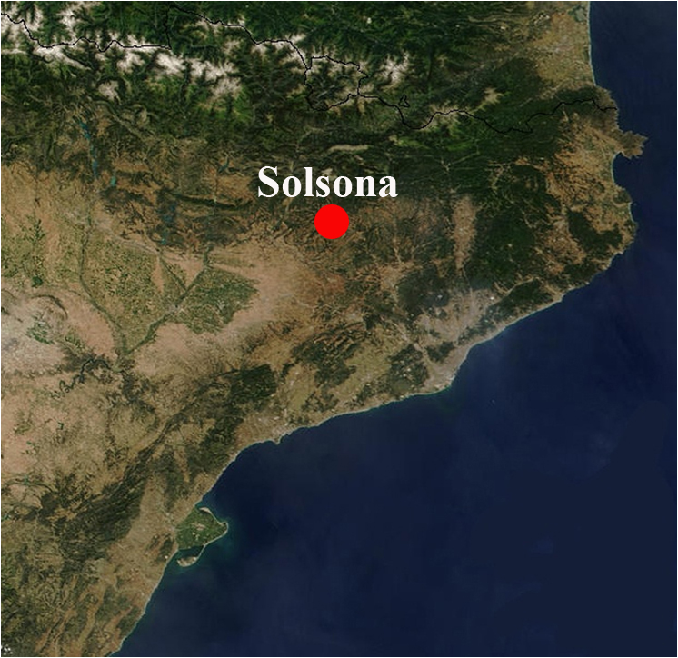 Sepulturas Neolíticas: Un día fantástico en el Museu Diocesà i Comarcal ...