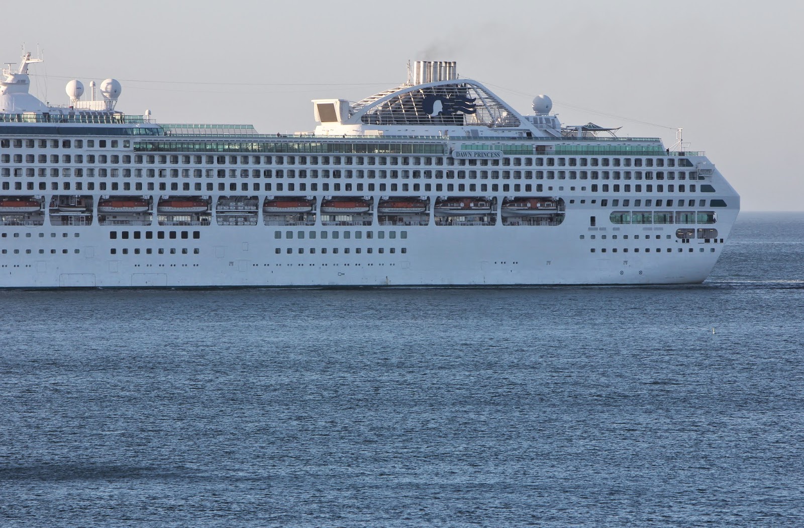 Ships Photo Gallery: DAWN PRINCESS