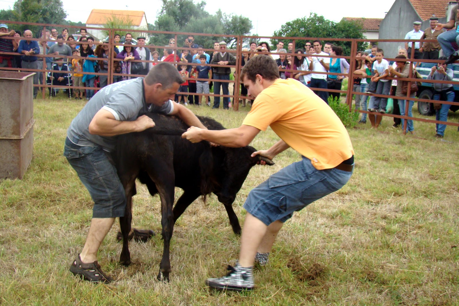 Vila Nova de Outil: Saca rabos