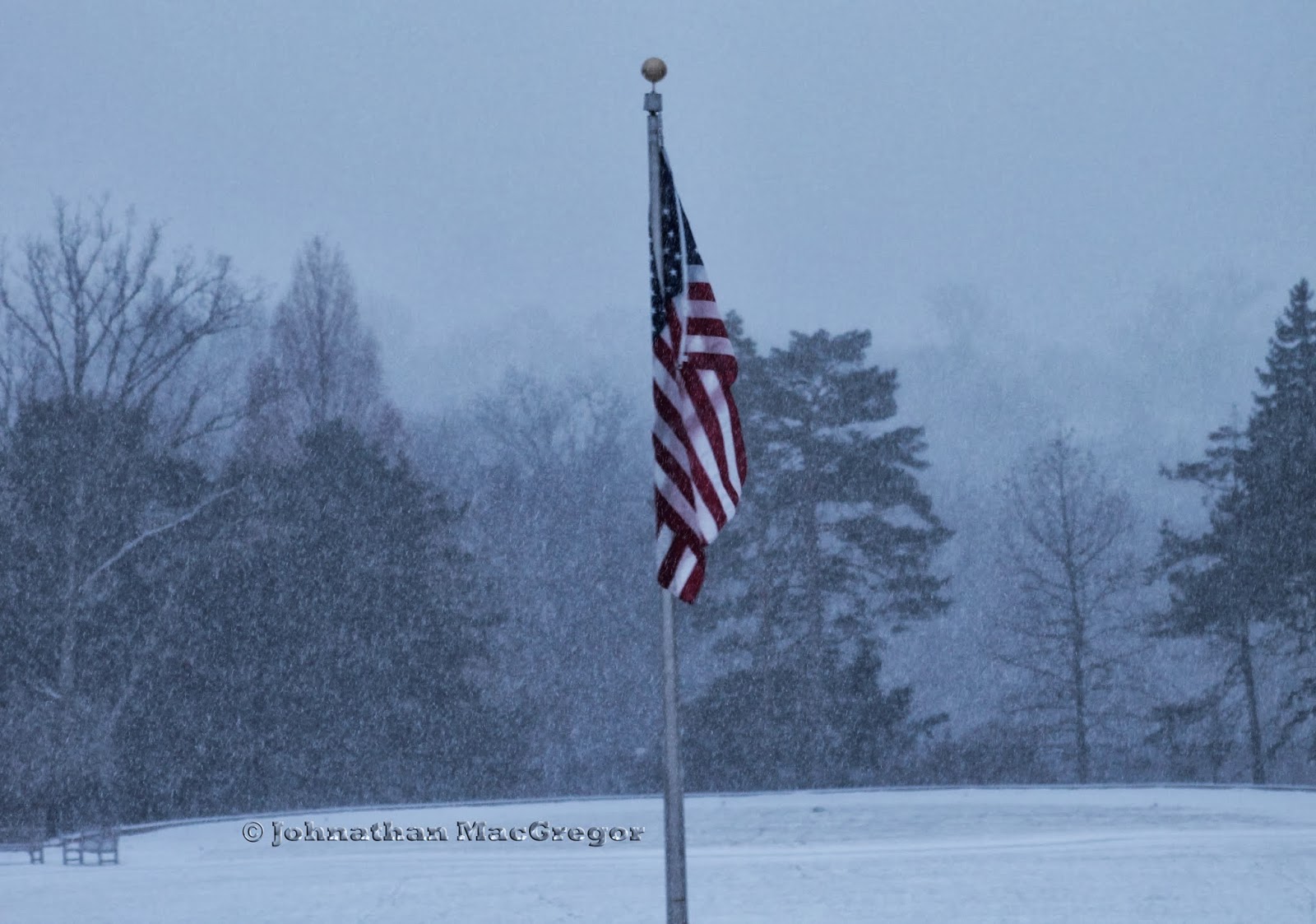 Books and Cameras: 2014