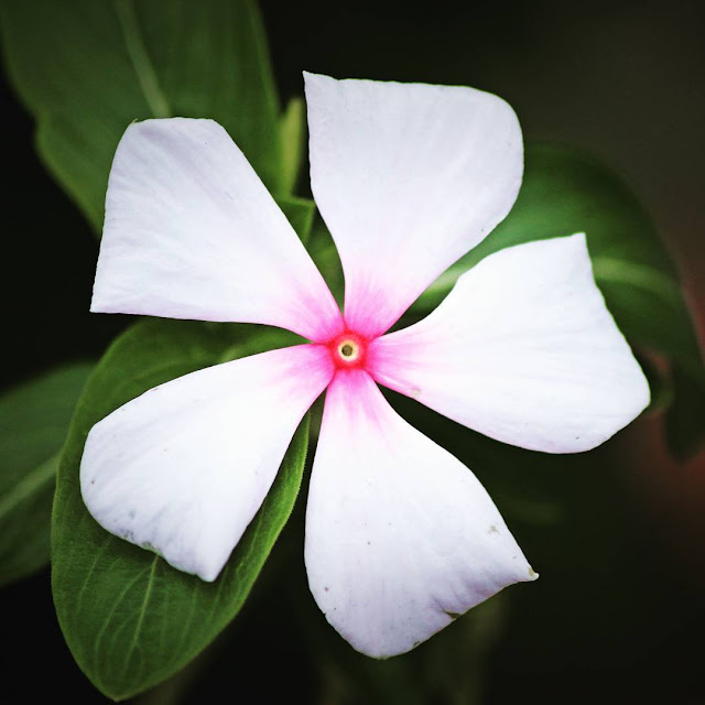 George F Photography