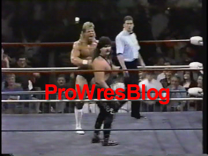 ProWresBlog: WCW Power Hour 2/2/1991 Review