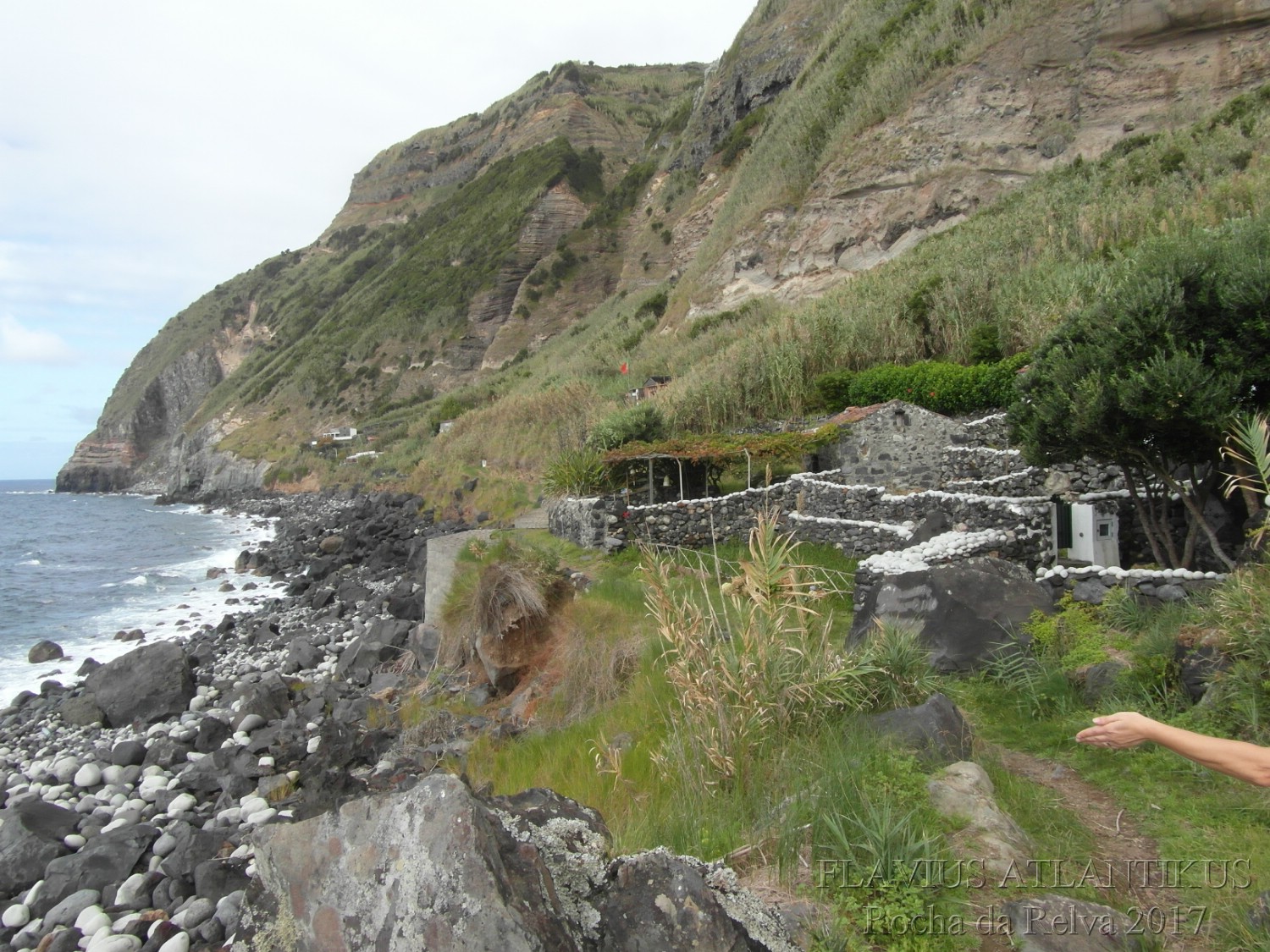 FLAVIUS ATLANTIKUS: Rocha da Relva - S. Miguel Island - Azores - Portugal