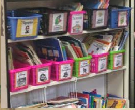 How to Make a GREAT Classroom Library | Pride and Primary