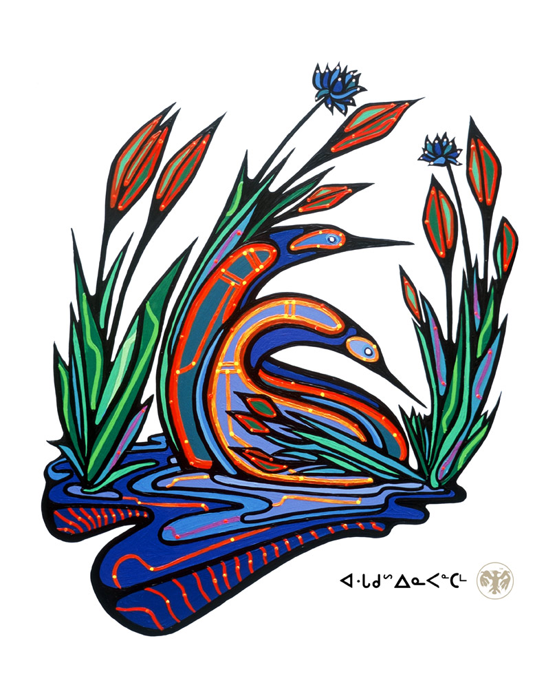 Stardreamer's Prints: Loons in Love - Limited Edition Prints by ...