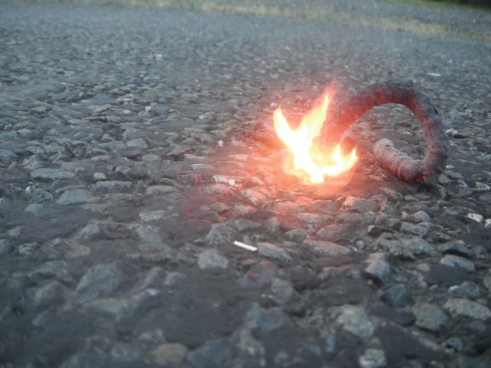 melbourne road: fun with snakes and smoke bombs